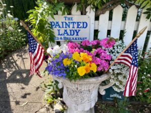 Summer Gallery – The Painted Lady